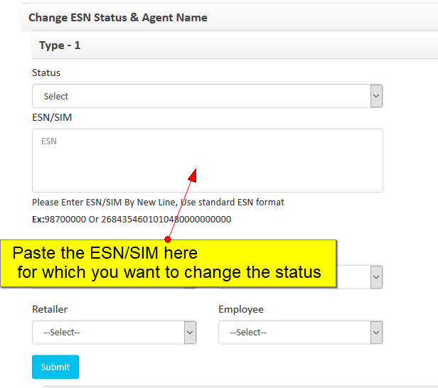 How can I change the status of the ESN or SIM? – User Guide